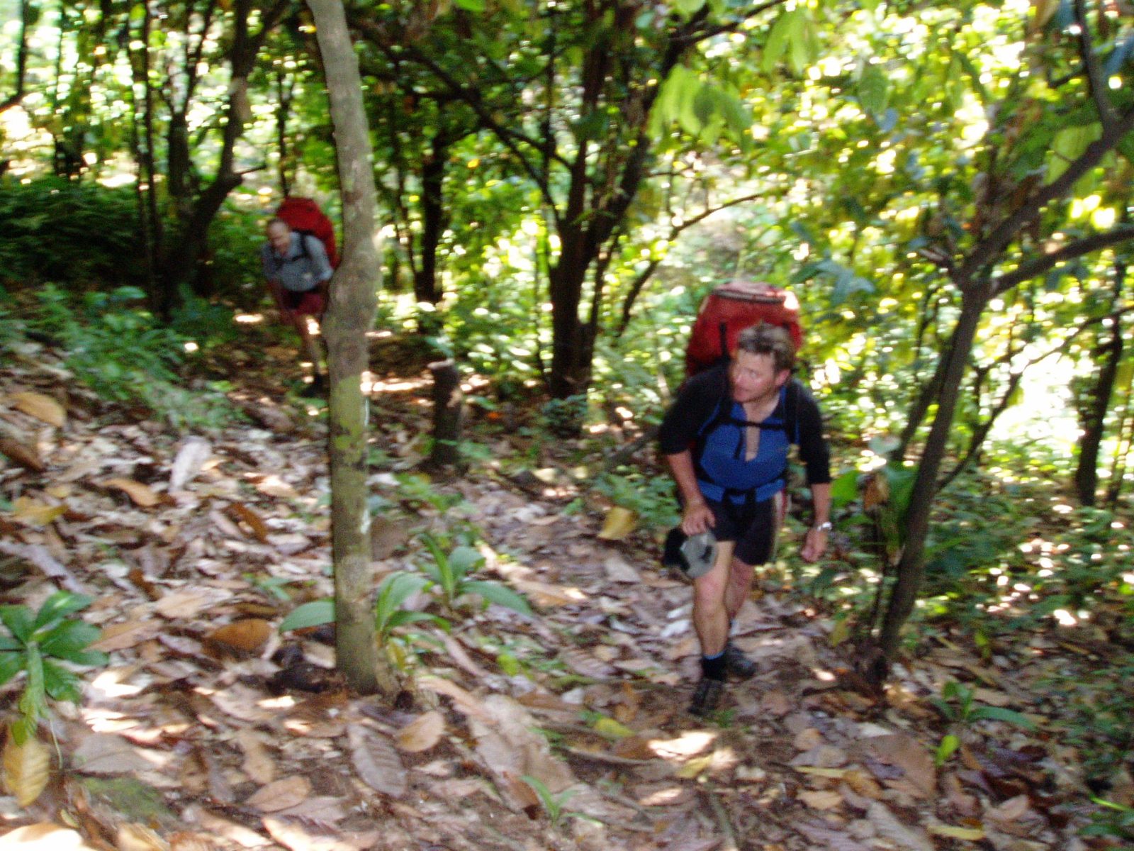 Jungle Survival Tips | How To Stay Alive In The Jungle | Adventure ...